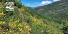 Raspberry Creek Trail in Marble, CO - Aspen Trail Finder